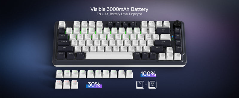 Ucal Pro K673 Pro - 75% Wired+2.4Ghz+BT Mechanical Keyboard White and