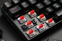 DEIMOS K599 - TKL 2.4G+Wired RGB Mechanical Keyboard (Red Switch)